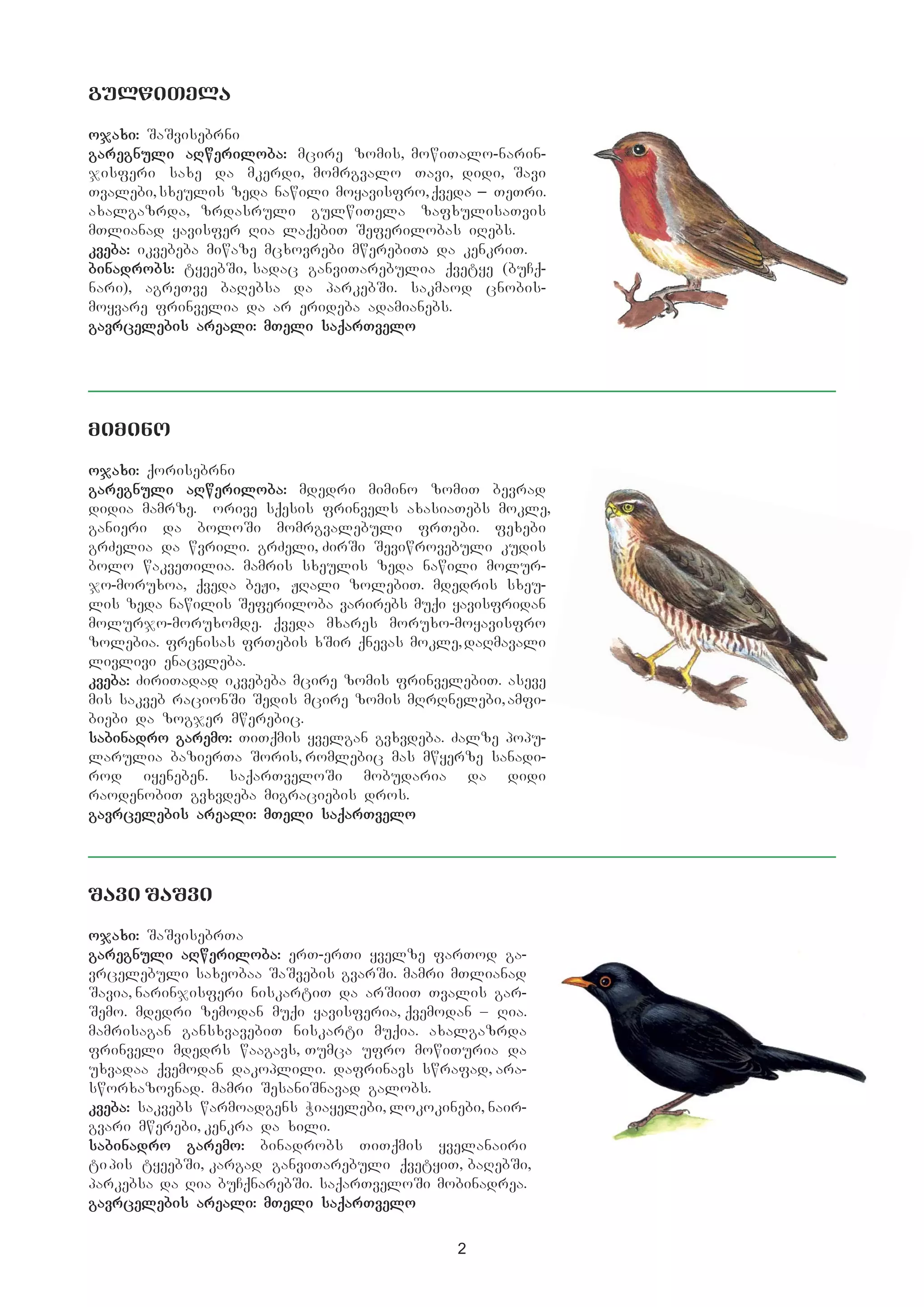 Birds layout | PDF