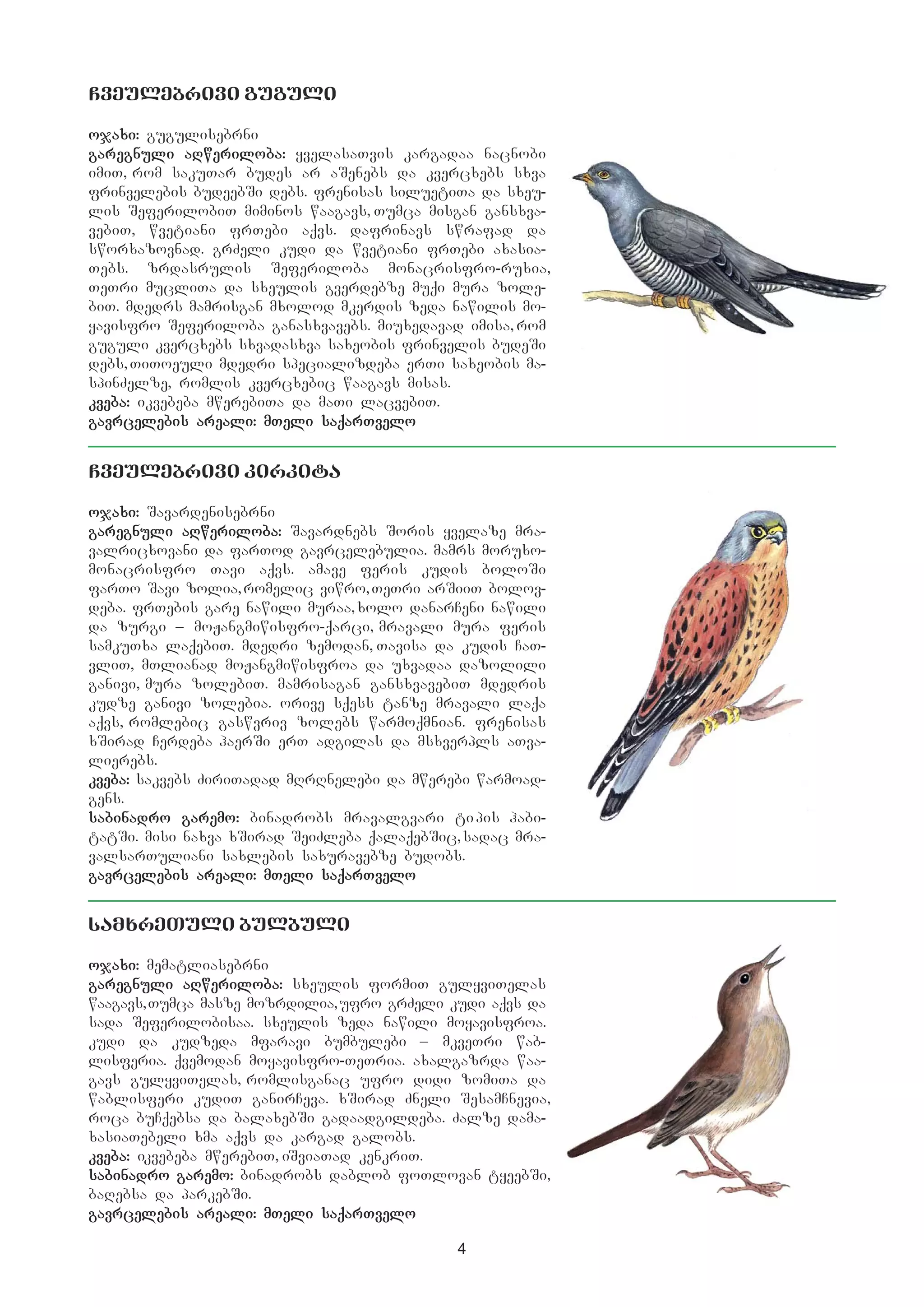Birds layout | PDF