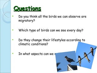 Birds migration final copy | PPT