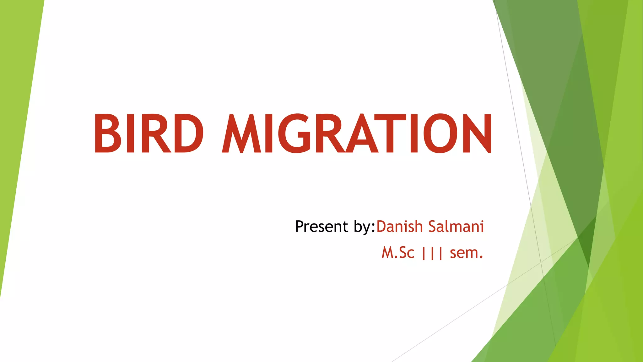 Birds migration ppt by danish salmani | PPTX