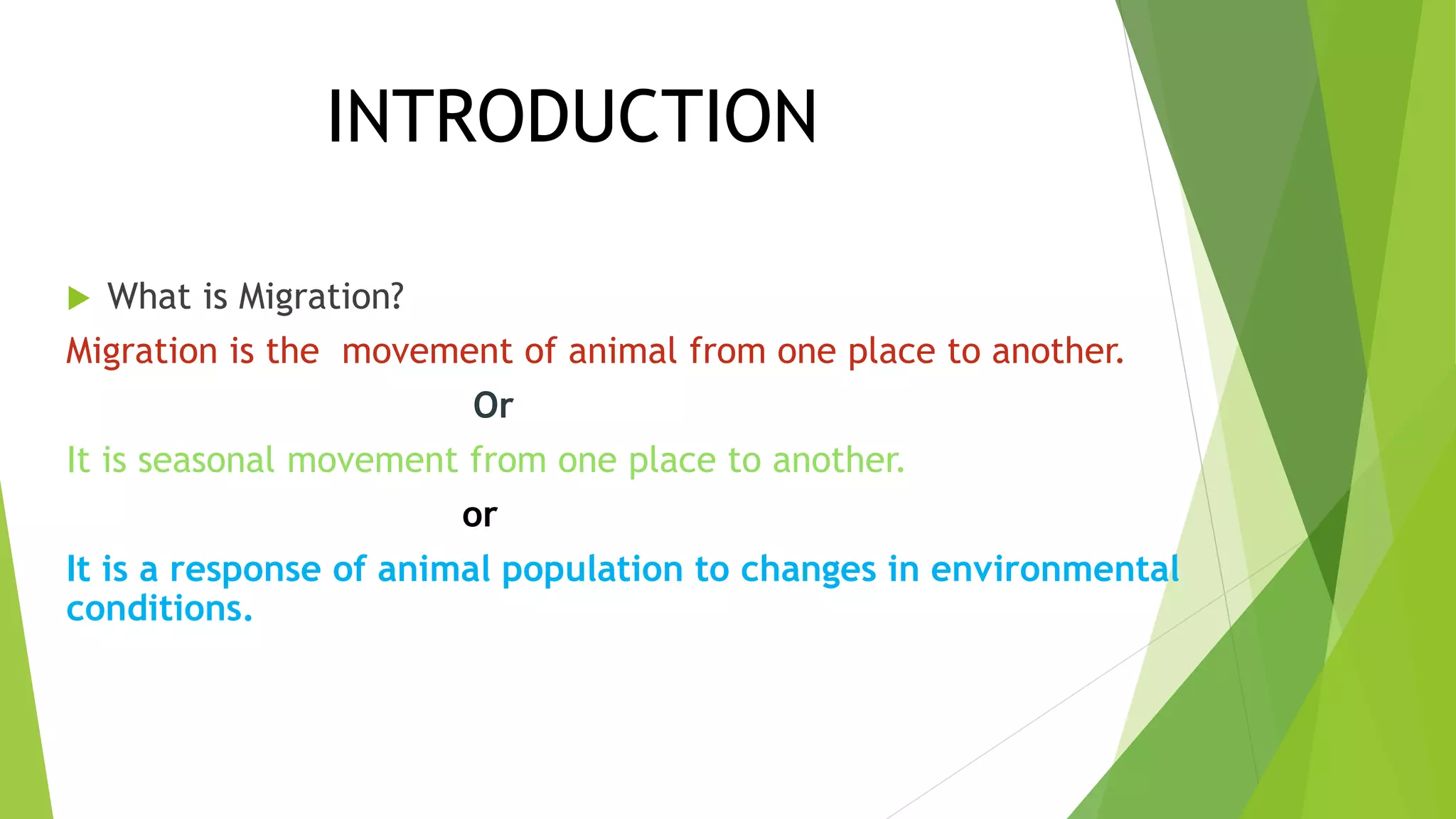 Birds migration ppt by danish salmani | PPTX