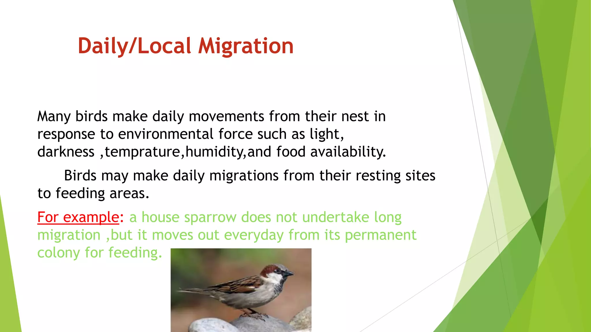 Birds migration ppt by danish salmani | PPTX