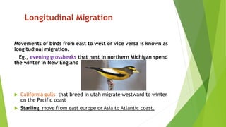 Birds migration ppt by danish salmani | PPTX