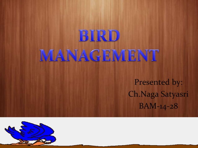 Birds Management | PPTX | Agriculture | Industries