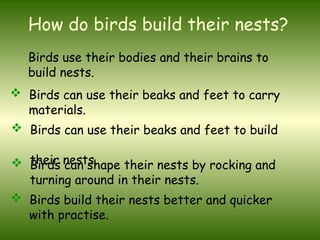 Different types of birds and their nests | PPT