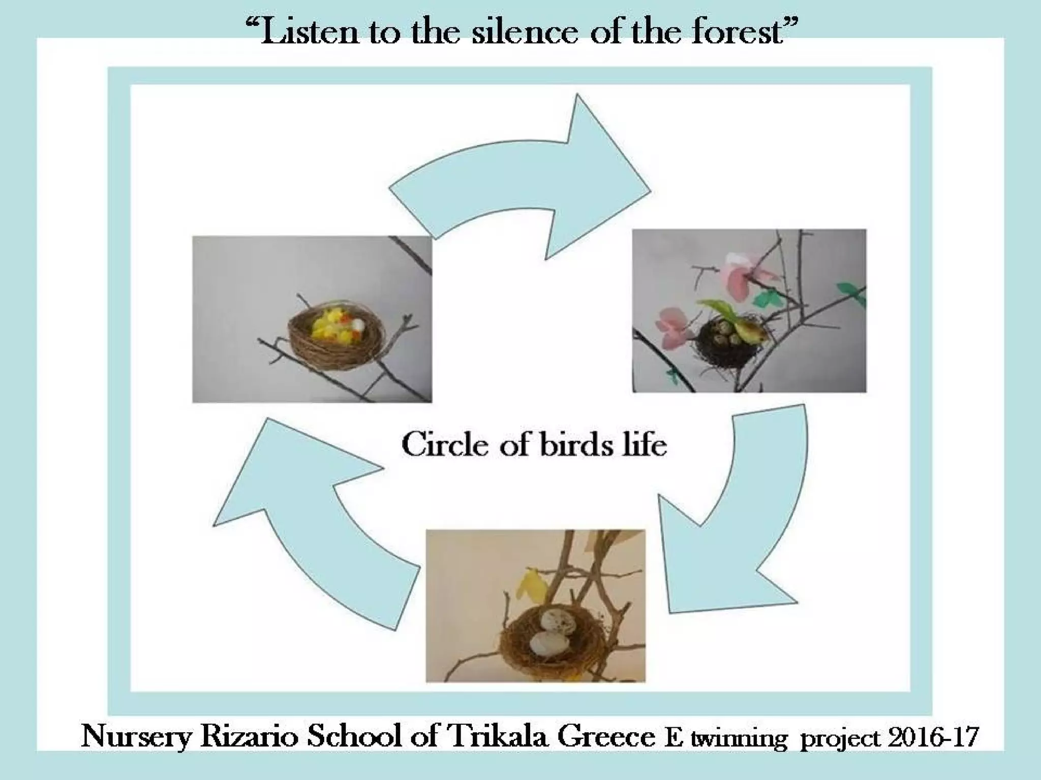 Learning about the circle of birds 'life | PPT
