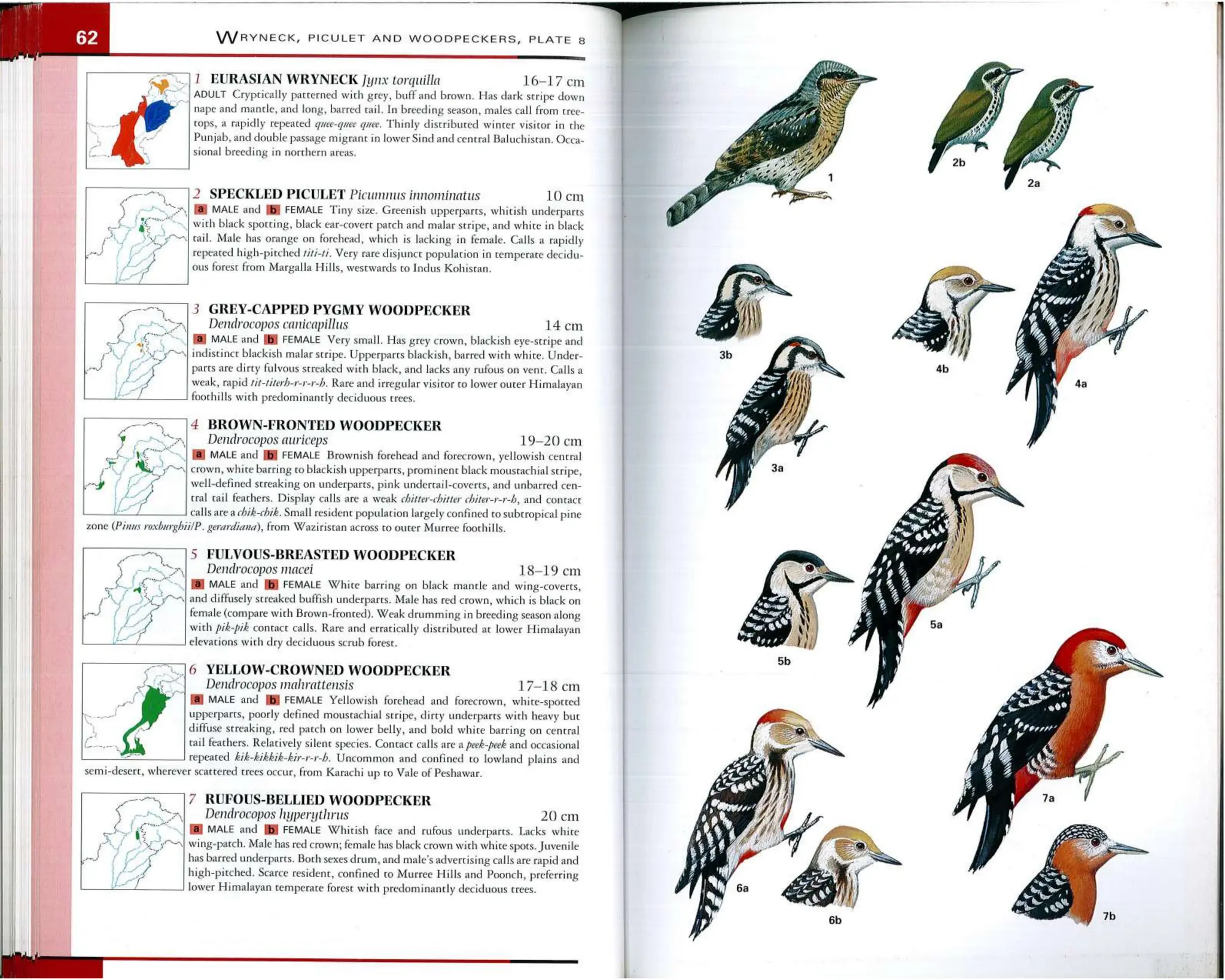 Birds of Pakistan field guide.pdf