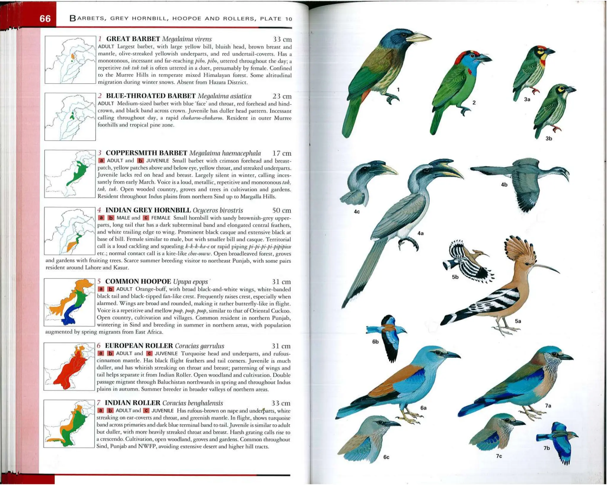 Birds of Pakistan field guide.pdf