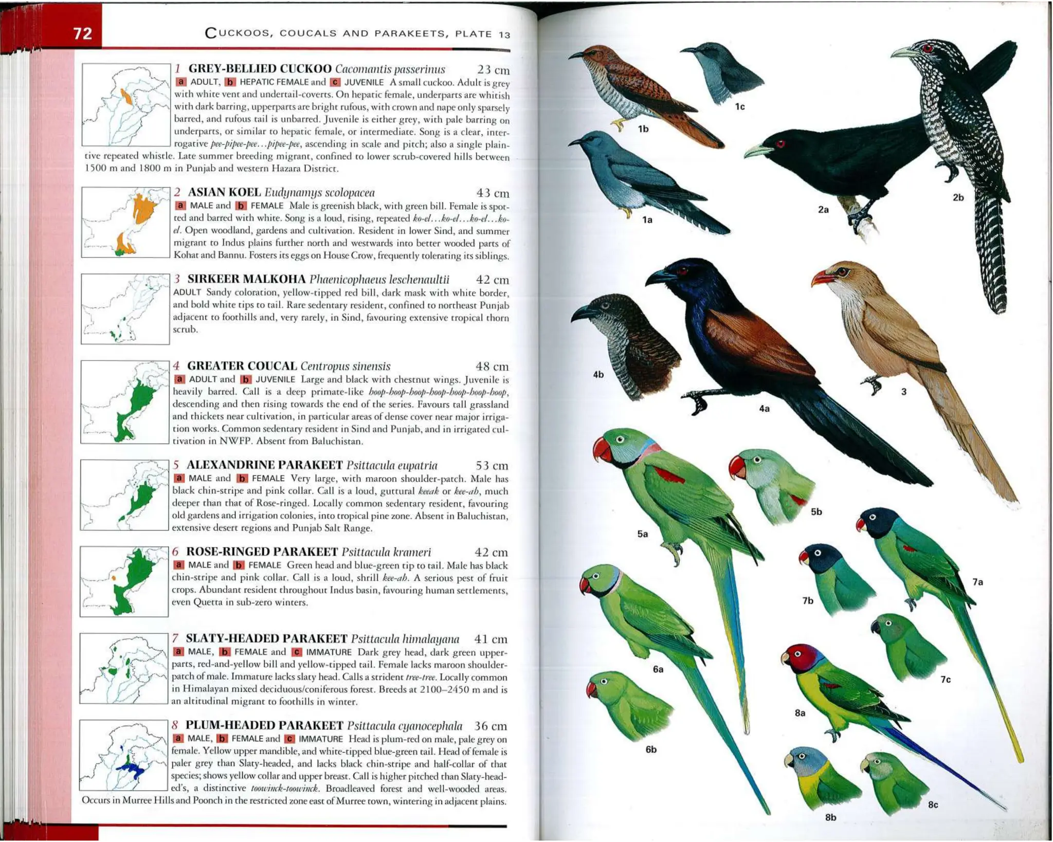 Birds of Pakistan field guide.pdf