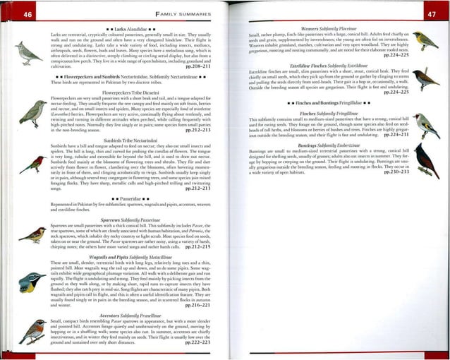 Birds of Pakistan field guide.pdf
