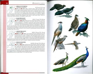 Birds of Pakistan field guide.pdf