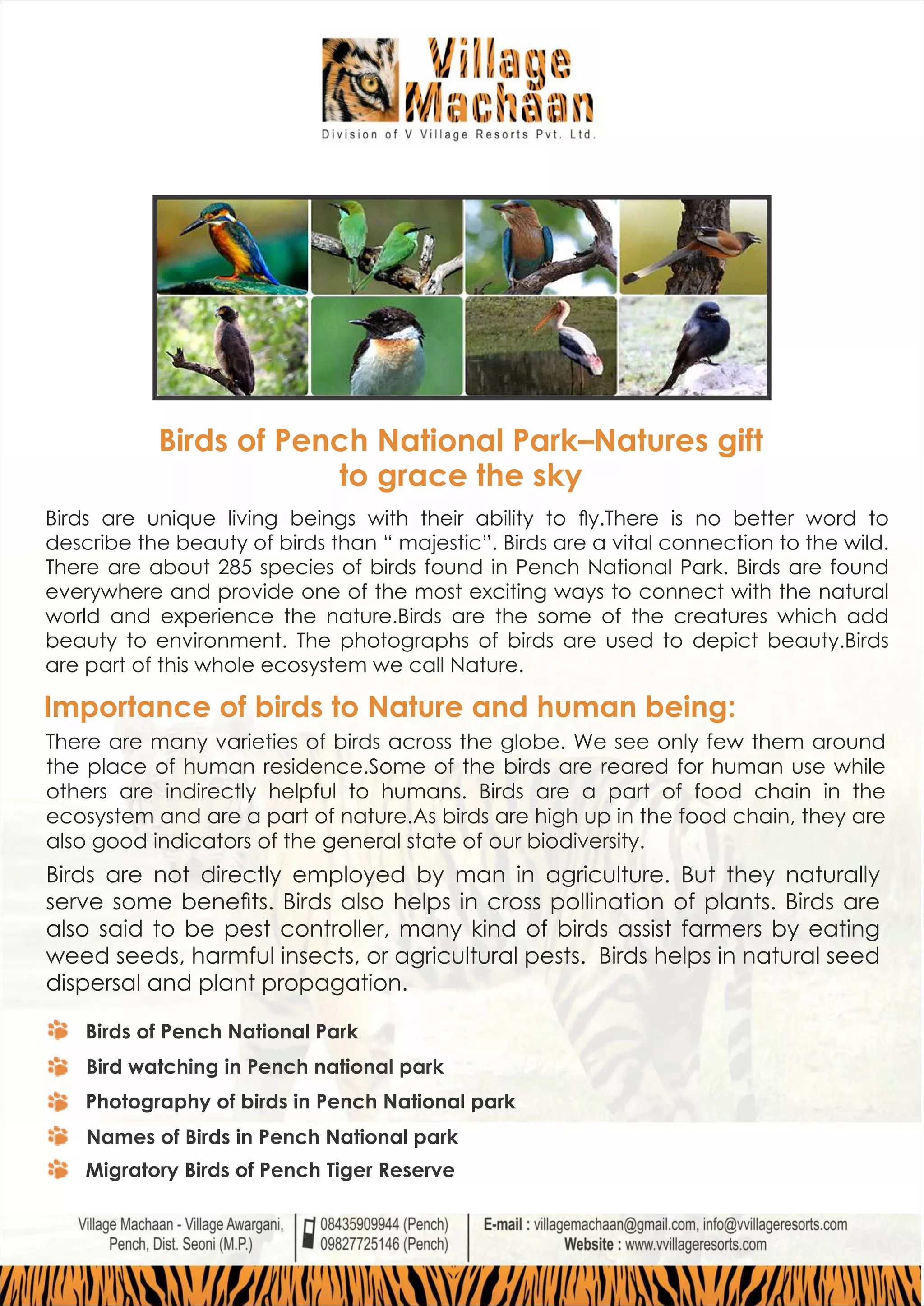 Birds of pench national park | Pench Birds | PDF