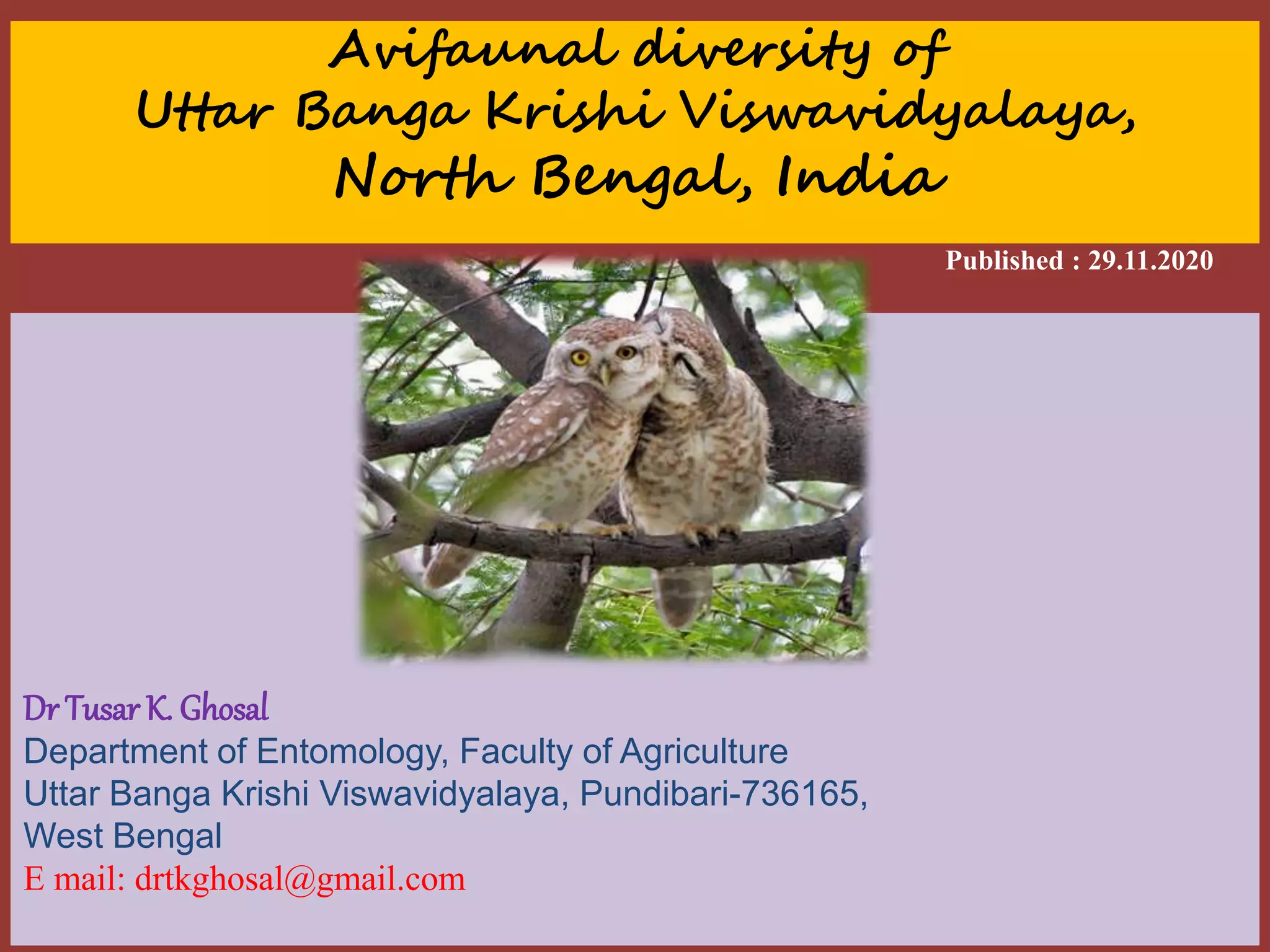 Birds of UBKV ( 61 slides ) | PPT