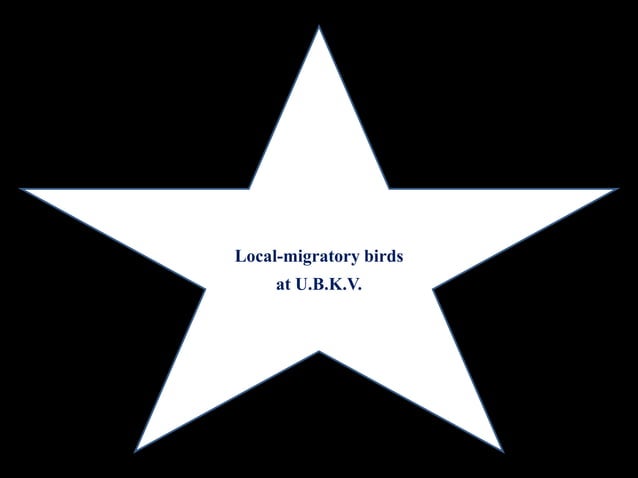 Birds of UBKV ( 61 slides ) | PPT
