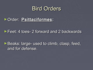 Birds orders | PPT