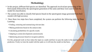 BIRD SPECIES (1).pptx