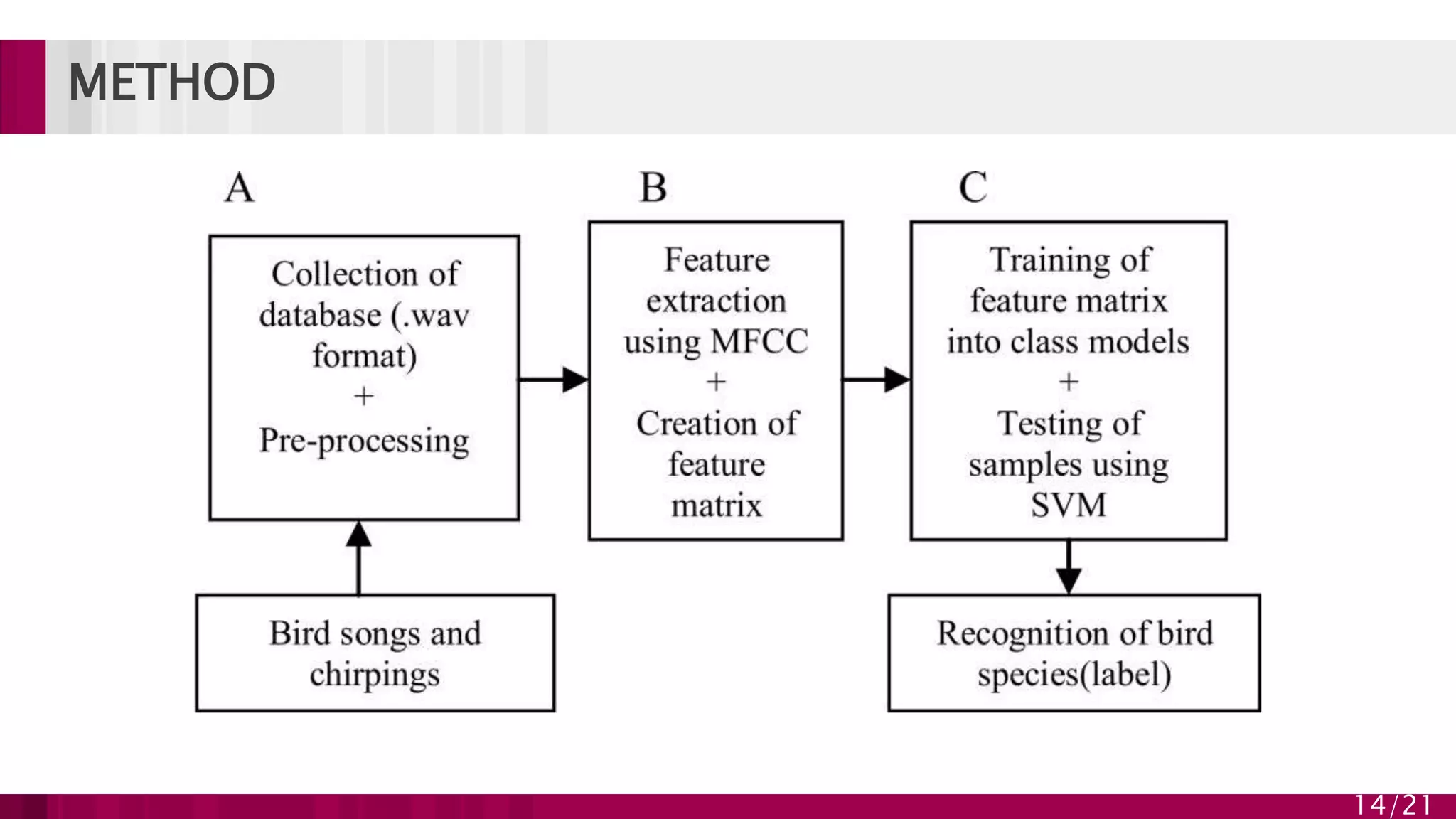 Bird species classification based on their sound | PPTX