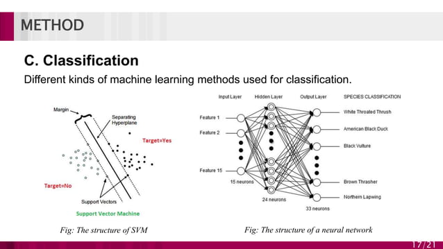 Bird species classification based on their sound | PPTX