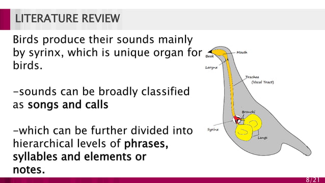 Bird species classification based on their sound | PPTX