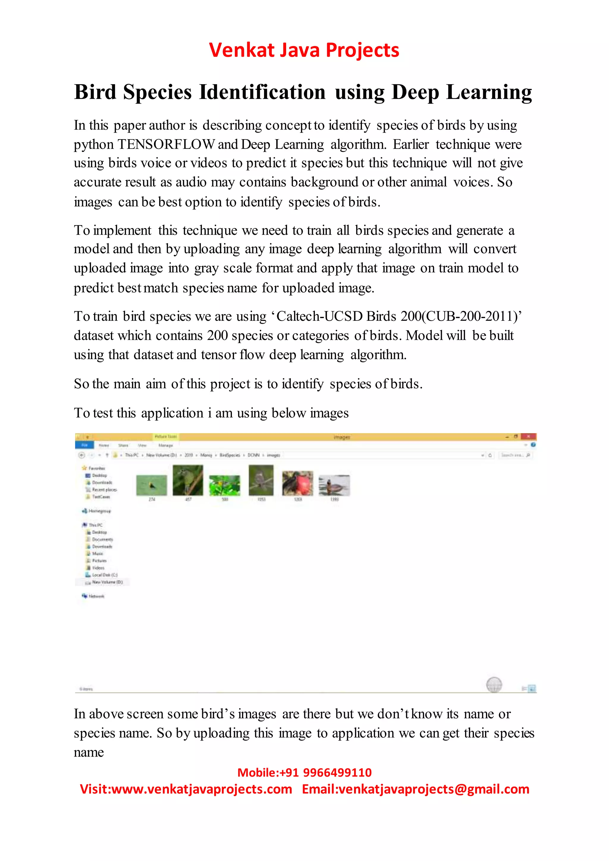 Bird species identification using deep learning | DOCX