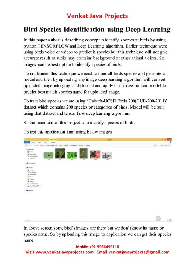 Bird species identification using deep learning | DOCX | Birdwatching | Hobbies & Interests