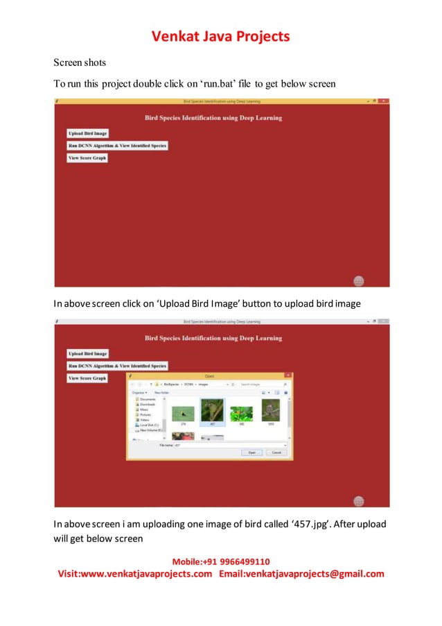 Bird species identification using deep learning | DOCX | Birdwatching ...