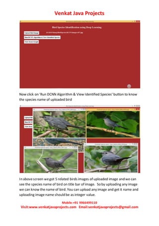 Bird species identification using deep learning | DOCX