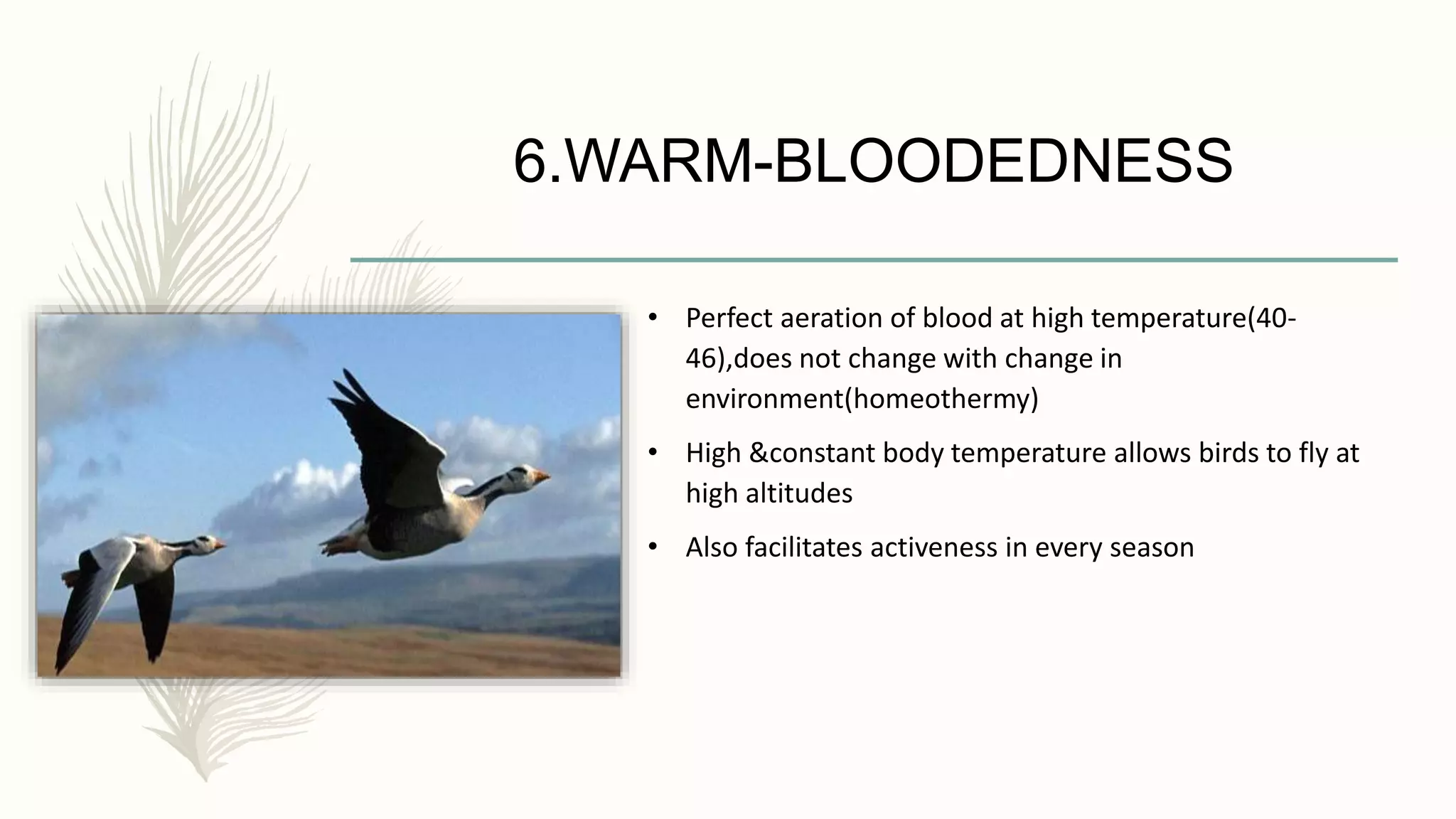 ADAPTATION OF BIRDS FOR AERIAL LIFE | PPTX