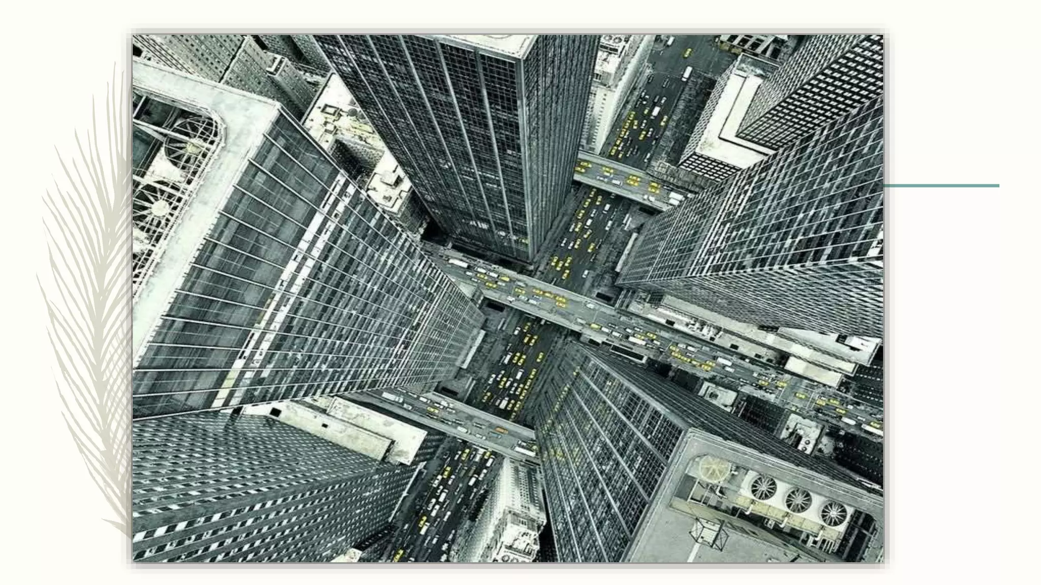 ADAPTATION OF BIRDS FOR AERIAL LIFE | PPTX