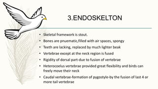 ADAPTATION OF BIRDS FOR AERIAL LIFE | PPTX | Birdwatching | Hobbies ...