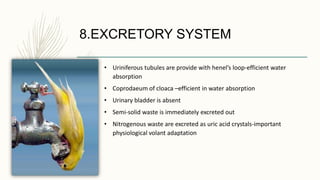 ADAPTATION OF BIRDS FOR AERIAL LIFE | PPTX | Birdwatching | Hobbies ...