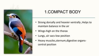 ADAPTATION OF BIRDS FOR AERIAL LIFE | PPTX | Birdwatching | Hobbies ...