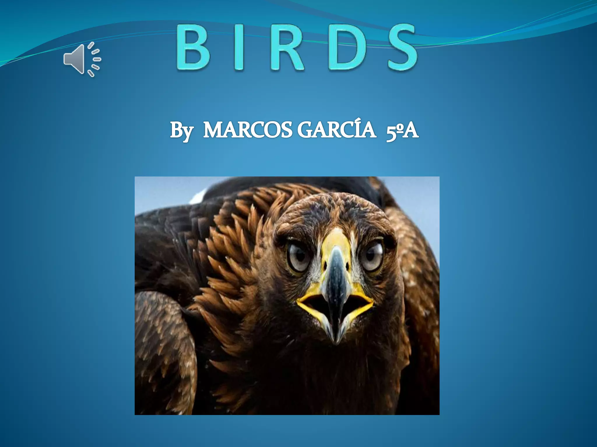 Birds presentación powerpoints (1) copia | PPTX | Birdwatching ...