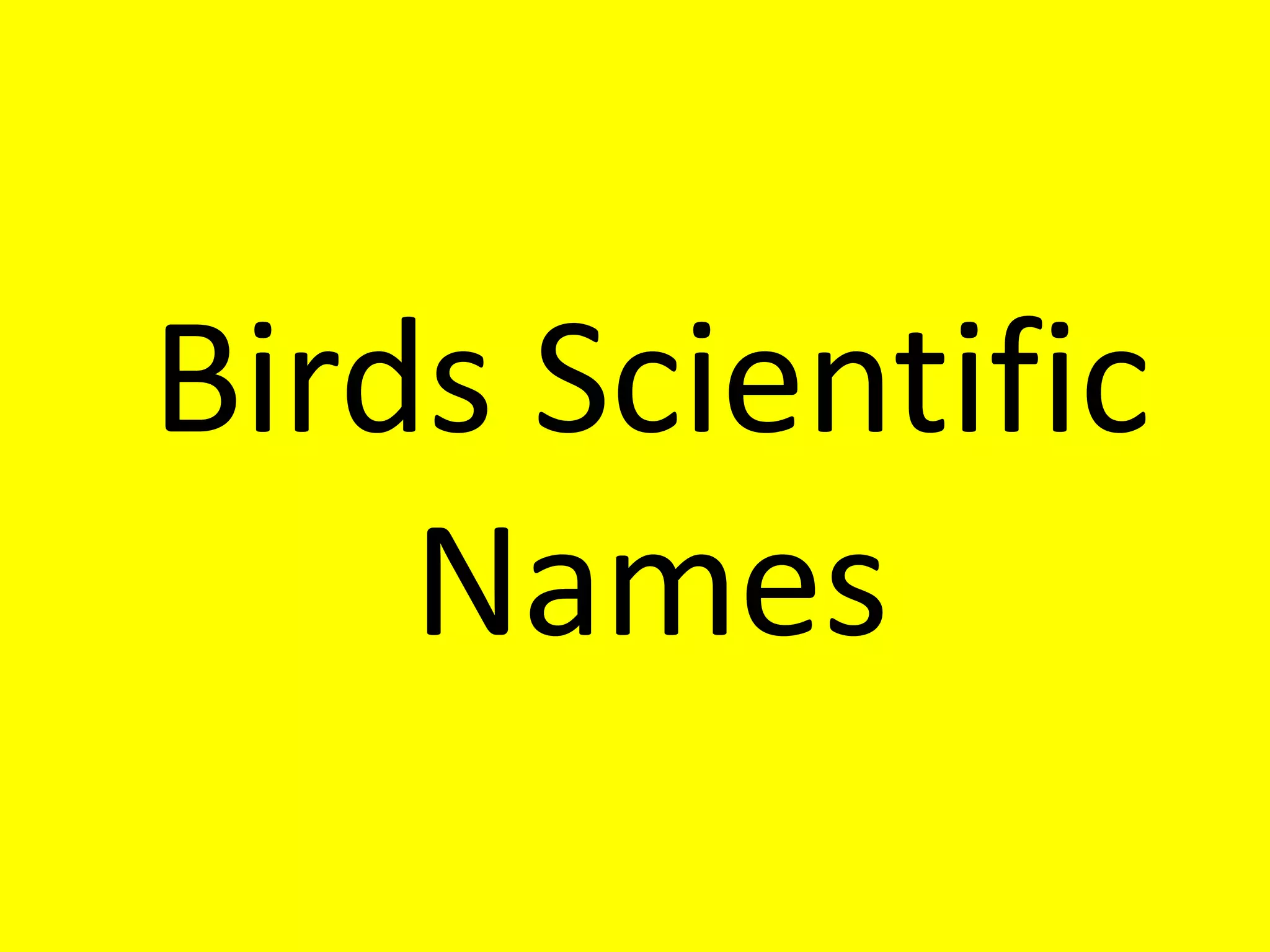Birds scientific names 1 | PPTX