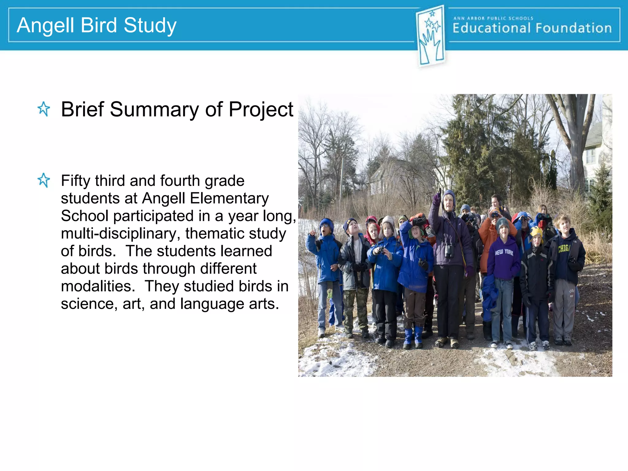 Birds slide show presentation | PPT