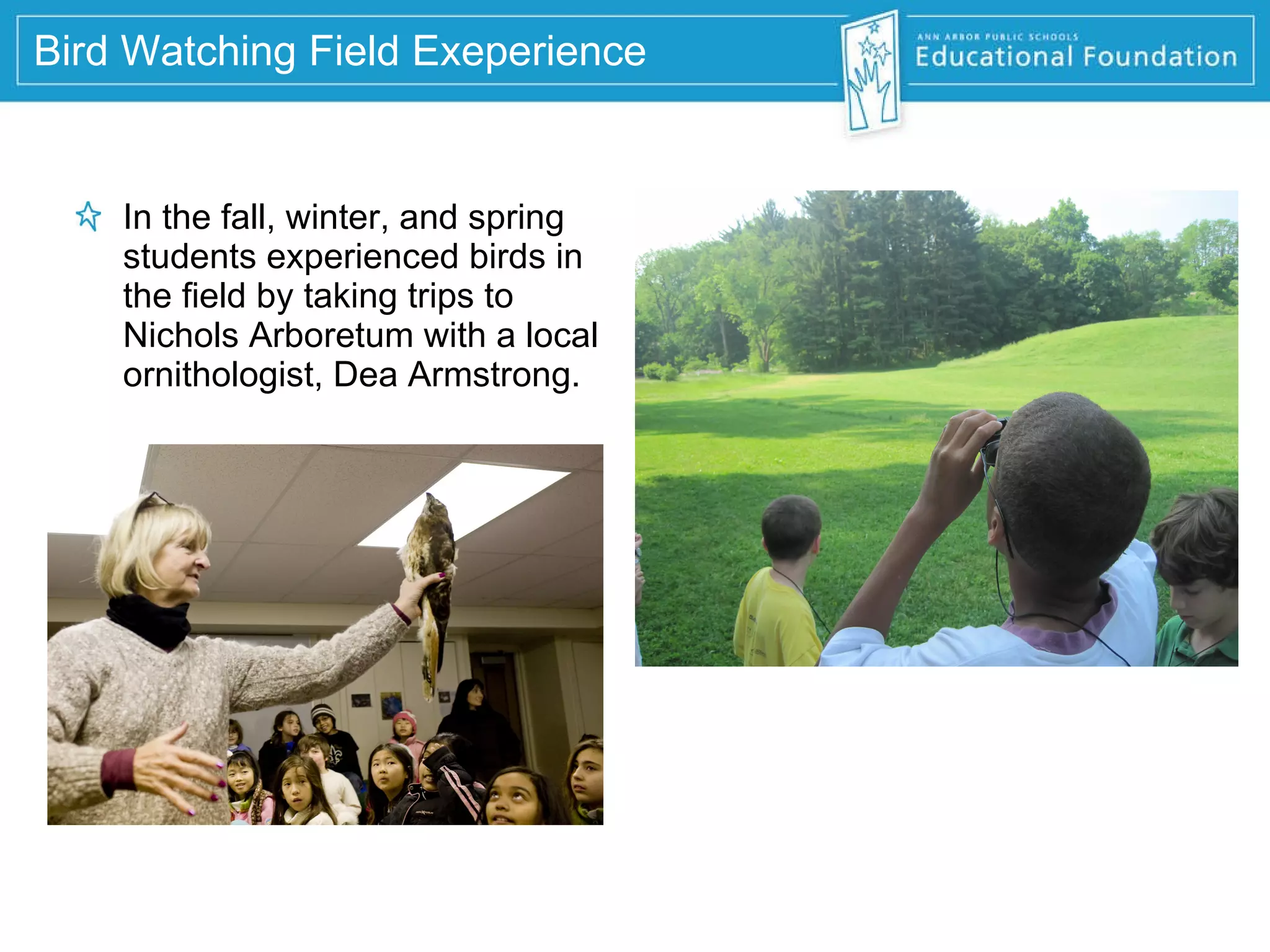 Birds slide show presentation | PPT