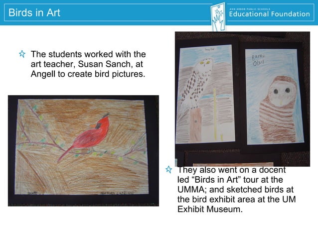 Birds slide show presentation | PPT