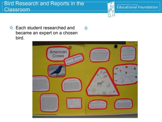 Birds slide show presentation | PPT