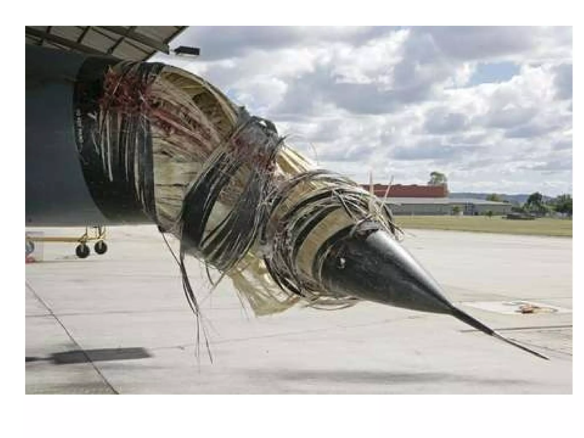 F-111 Bird Strike | PPT