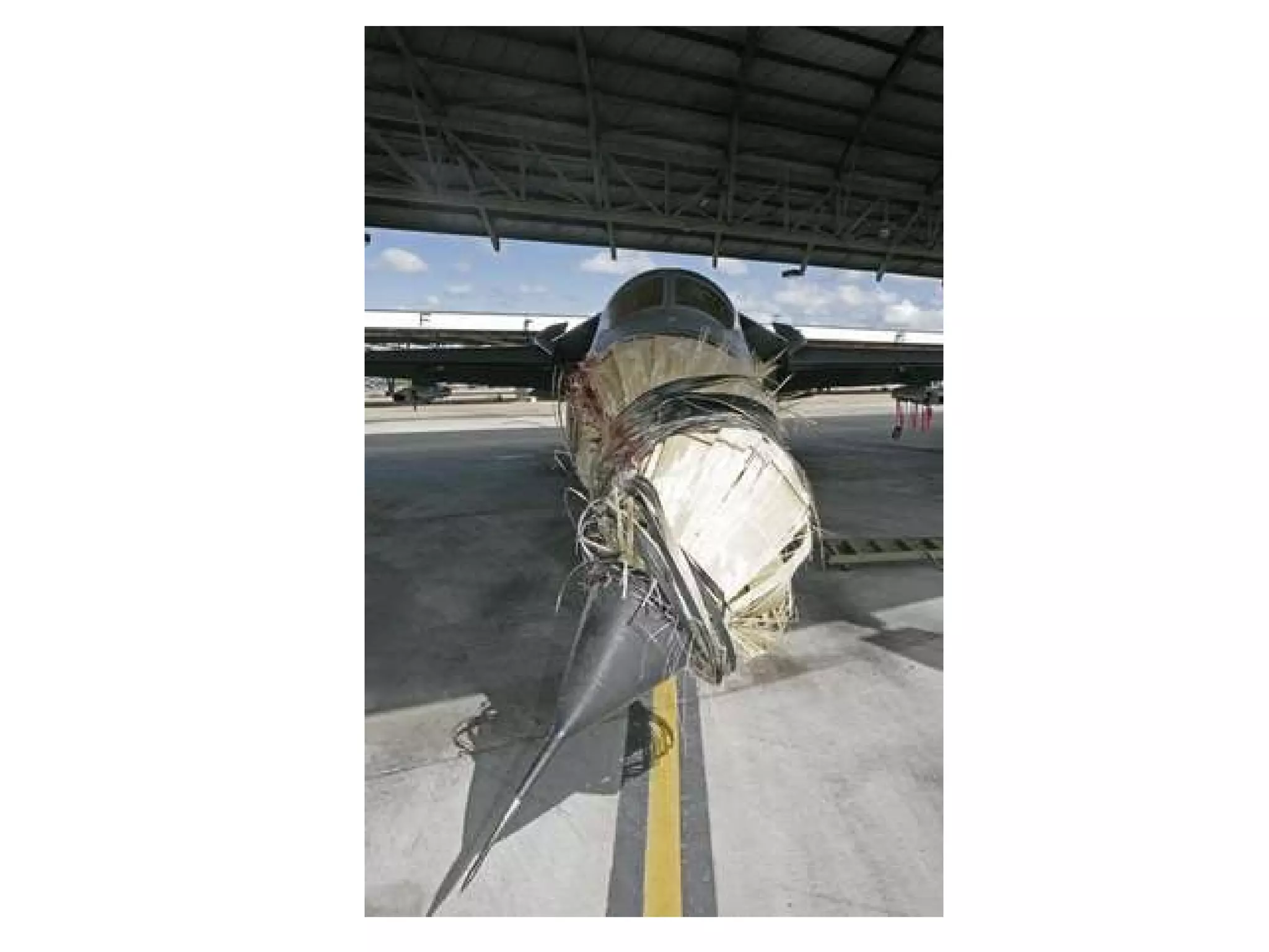 F-111 Bird Strike | PPT