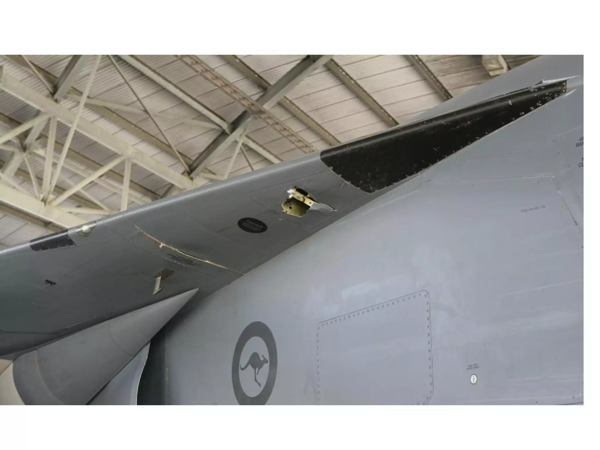 F-111 Bird Strike | PPT