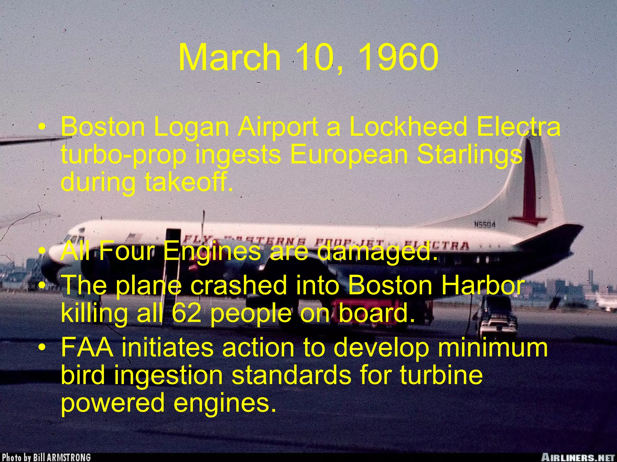 Bird strikes hazards and avoidance | PPT