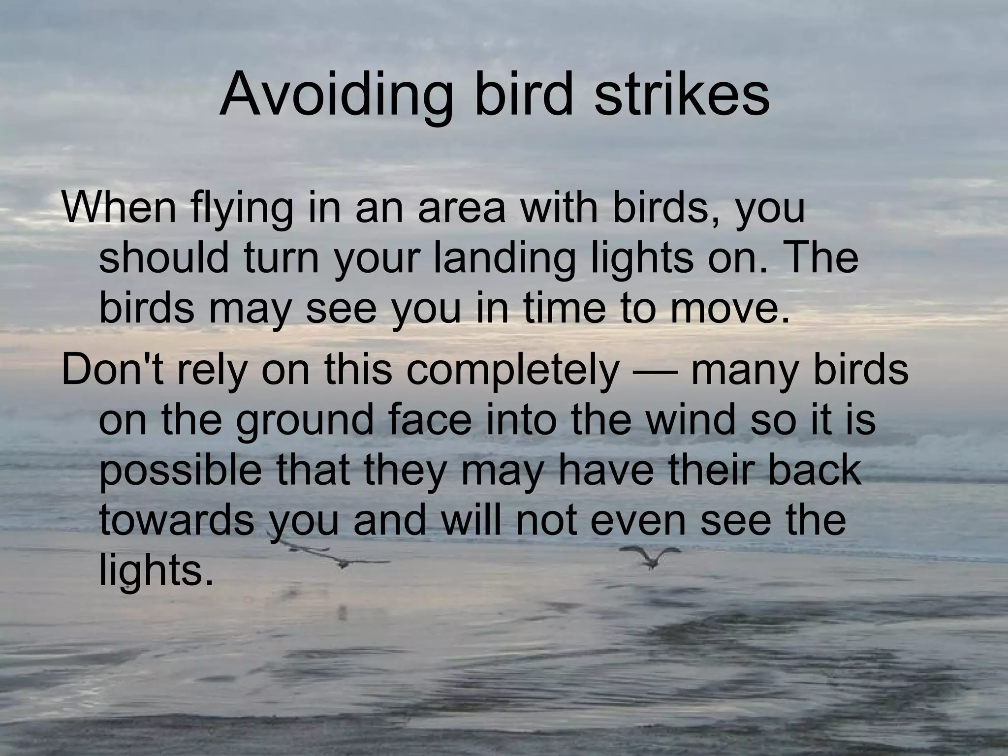 Bird strikes hazards and avoidance | PPT