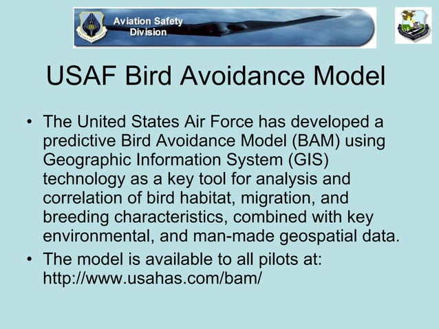 Bird strikes hazards and avoidance | PPT | Air Travel | Travel Type