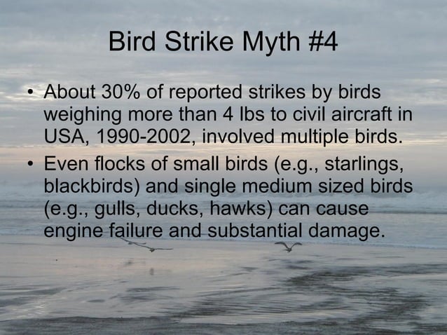 Bird strikes hazards and avoidance | PPT | Air Travel | Travel Type