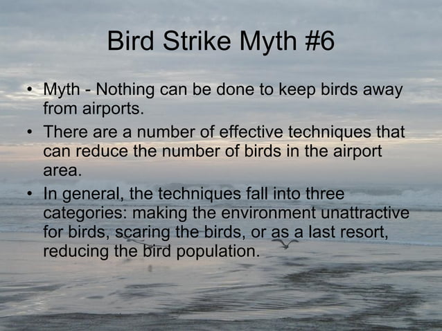 Bird strikes hazards and avoidance | PPT | Air Travel | Travel Type