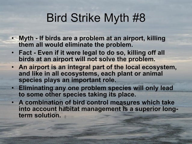 Bird strikes hazards and avoidance | PPT | Air Travel | Travel Type