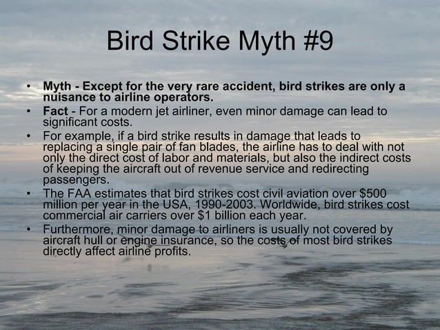 Bird strikes hazards and avoidance | PPT | Air Travel | Travel Type