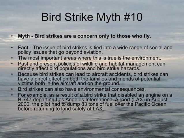 Bird strikes hazards and avoidance | PPT | Air Travel | Travel Type