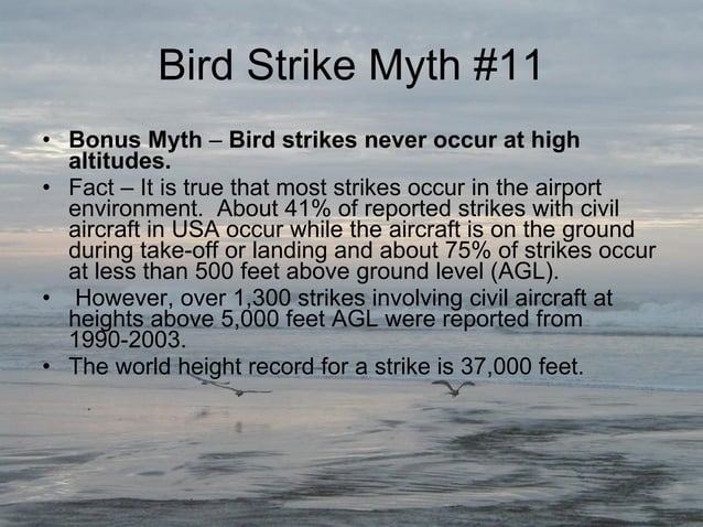 Bird strikes hazards and avoidance | PPT | Air Travel | Travel Type